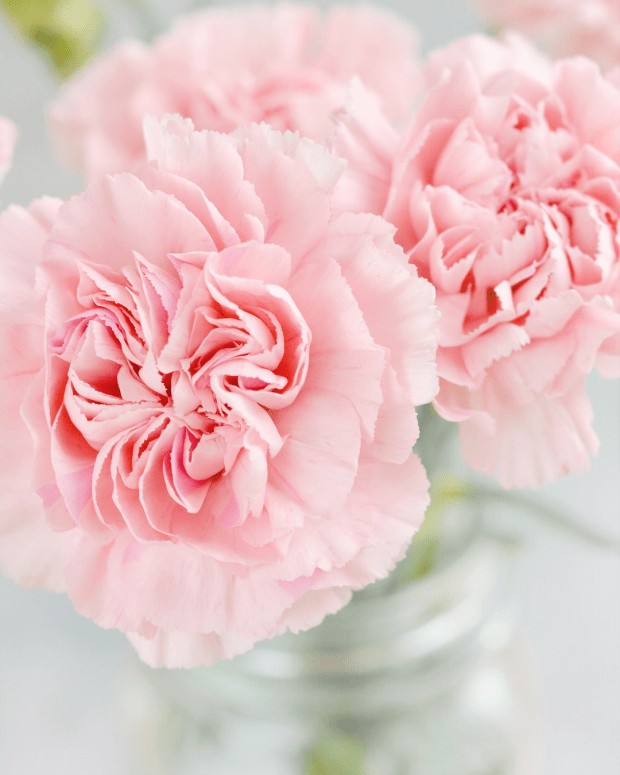 Spring & Summer 2026 Makeup Trends – So Healthy & Well